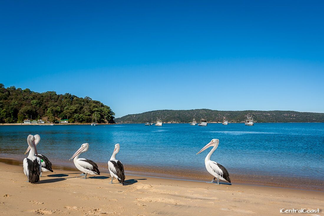 25 Best Central Coast Beaches - iCentralCoast