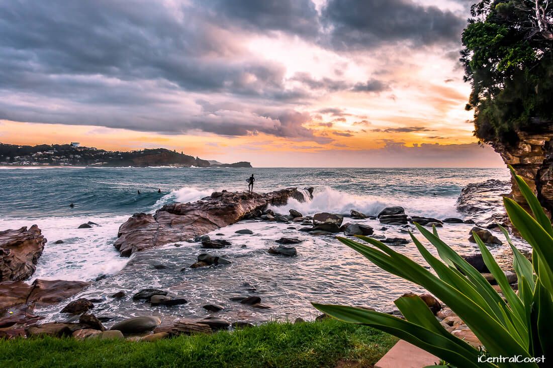 A Local's Guide to Avoca Beach – iCentralCoast