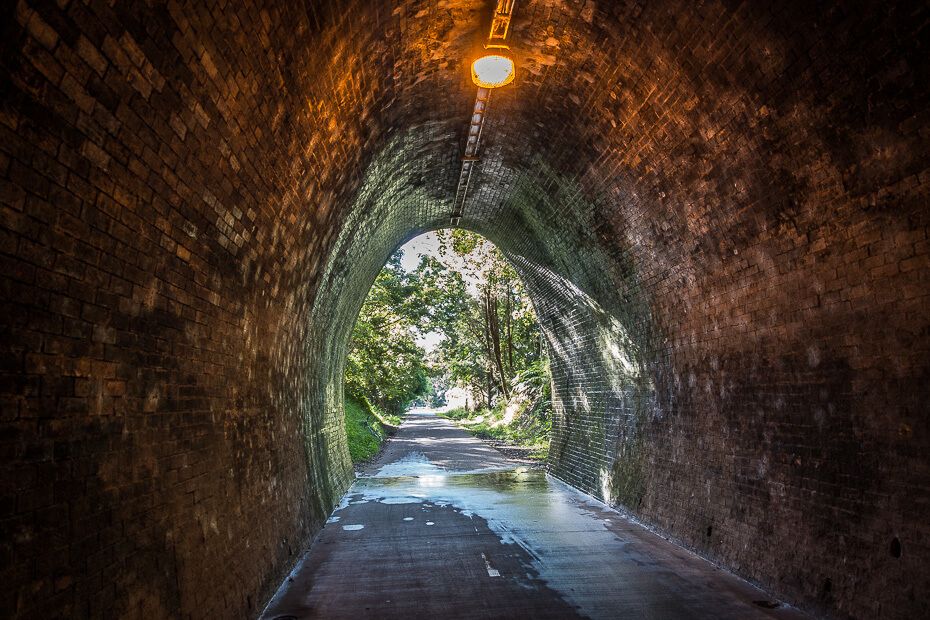 Fernleigh Track – iCentralCoast