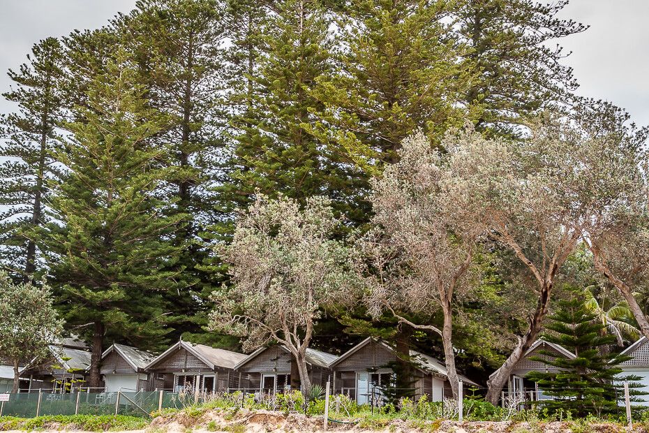 Toowoon Bay Attractions & Accommodation - iCentralCoast