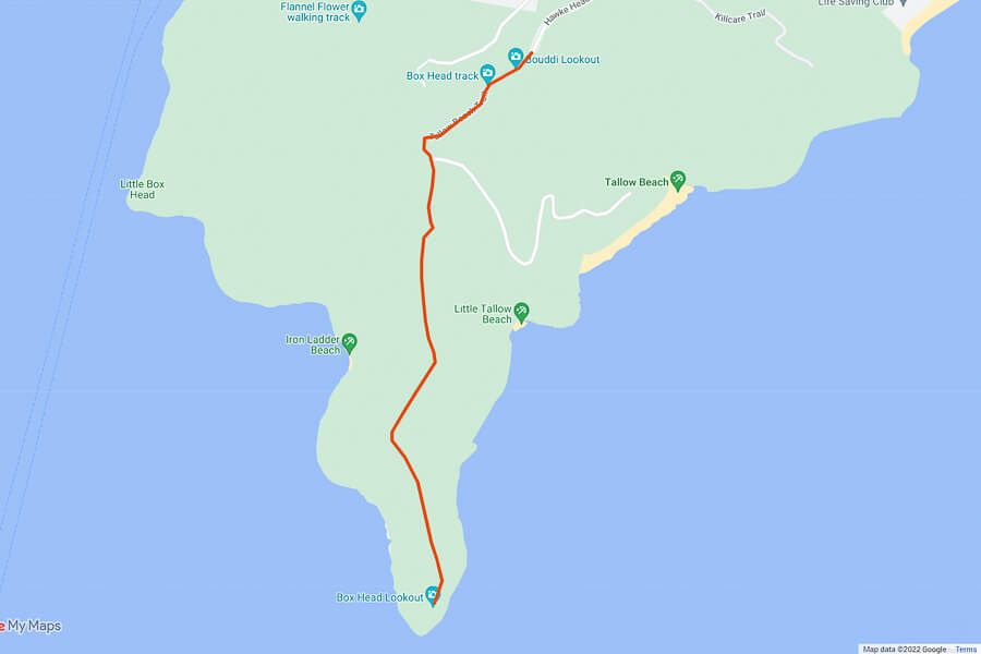 Explore These 10 Epic Bushwalks in Bouddi National Park