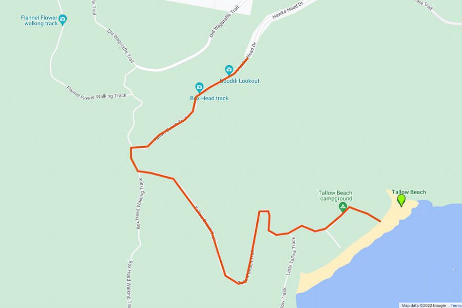 Explore These 10 Epic Bushwalks in Bouddi National Park