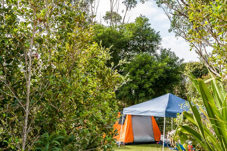 Putty Beach: Swimming & Camping - iCentralCoast